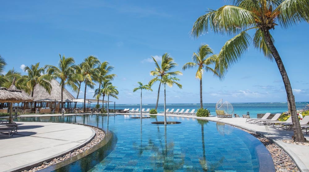 World of Seashells: The Largest Seashell Museum in Mauritius